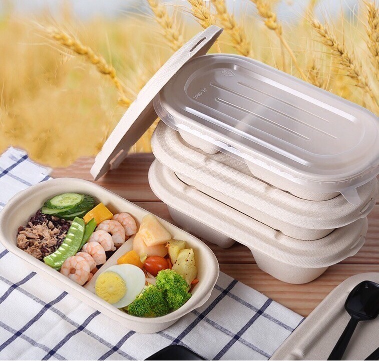 100% Compostable Disposable Eco Packaging Food Grade Sugarcane Pulp ...