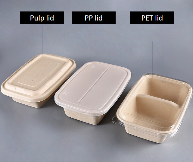 Rectangular Disposable Surgance Pulp Food Container Biodegradable Container